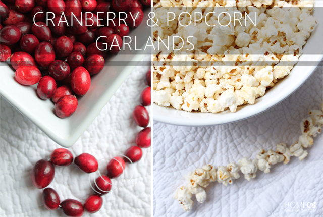 The Fun In Cranberry and Popcorn Garlands